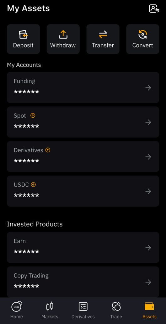 Bybit App: Download Per iOS e Android e Guida All'App